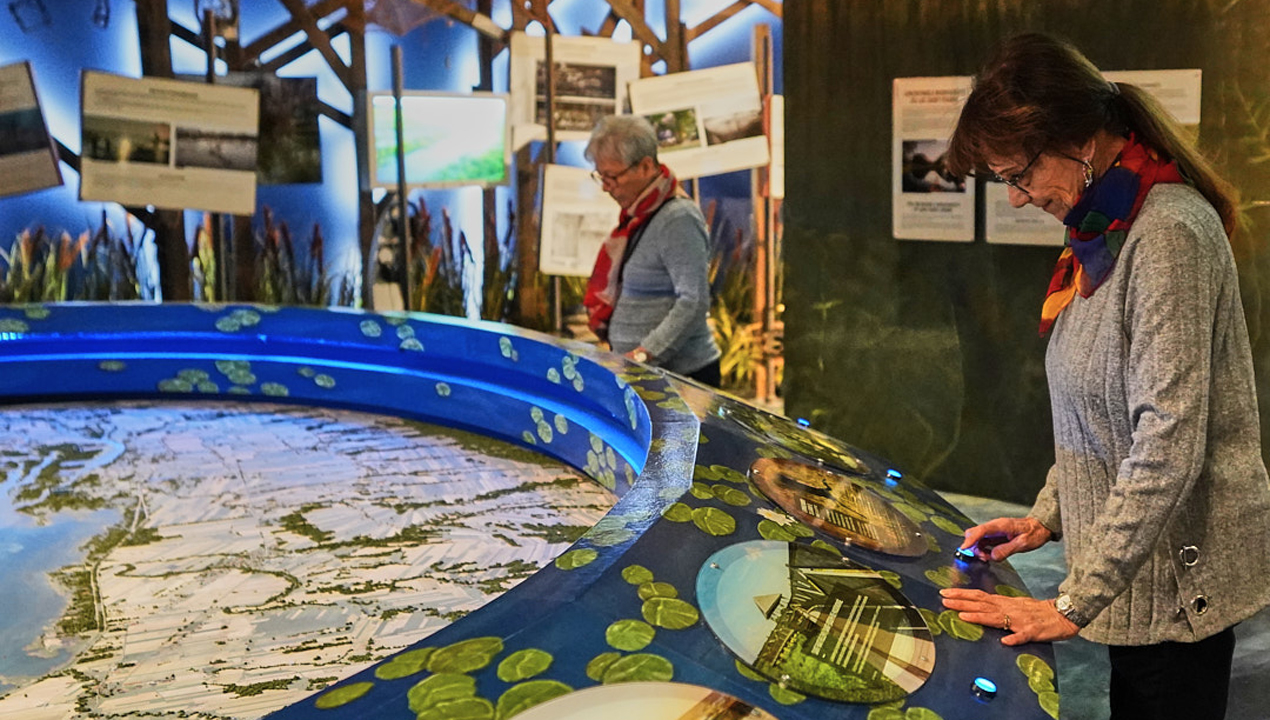 Une immersion entre fleuve et rivière au Biophare — Quoi faire au Québec