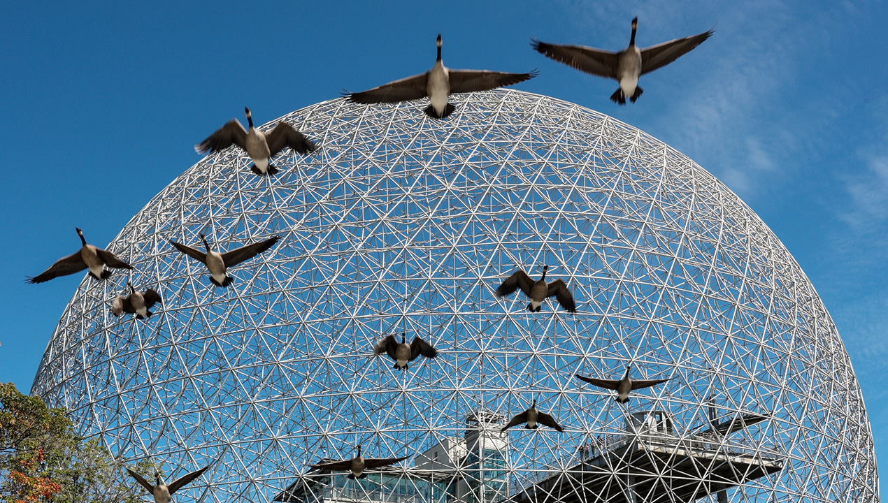 La Biosphère... beaucoup plus qu’un bâtiment emblématique de Montréal ...