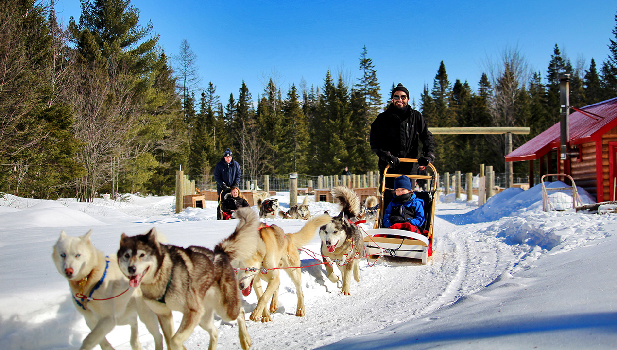 Au Chalet en Bois Rond : la destination idéale pour les vacances d ...