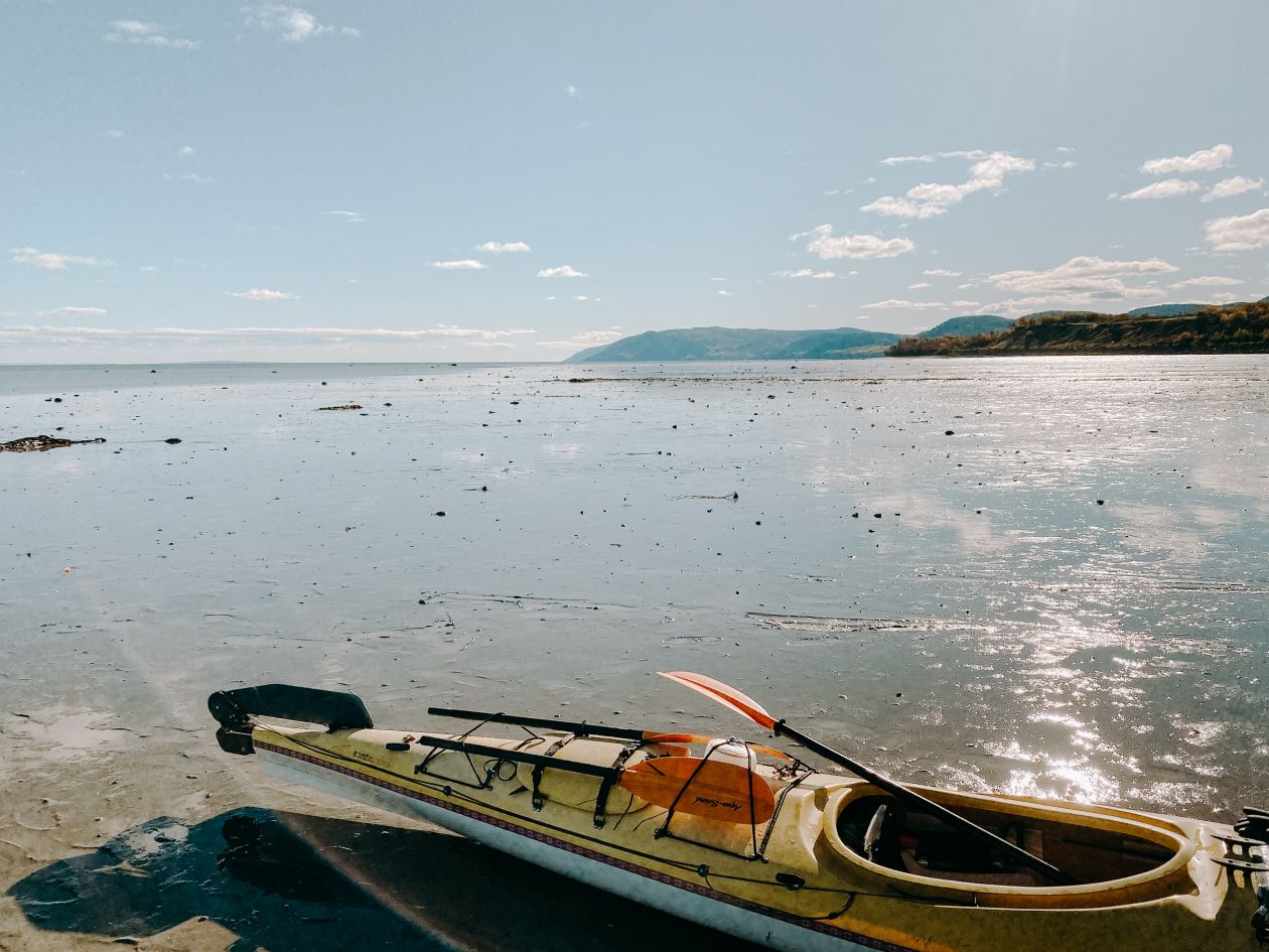 Mer et Monde Écotours - kayak de mer — Quoi faire au Québec