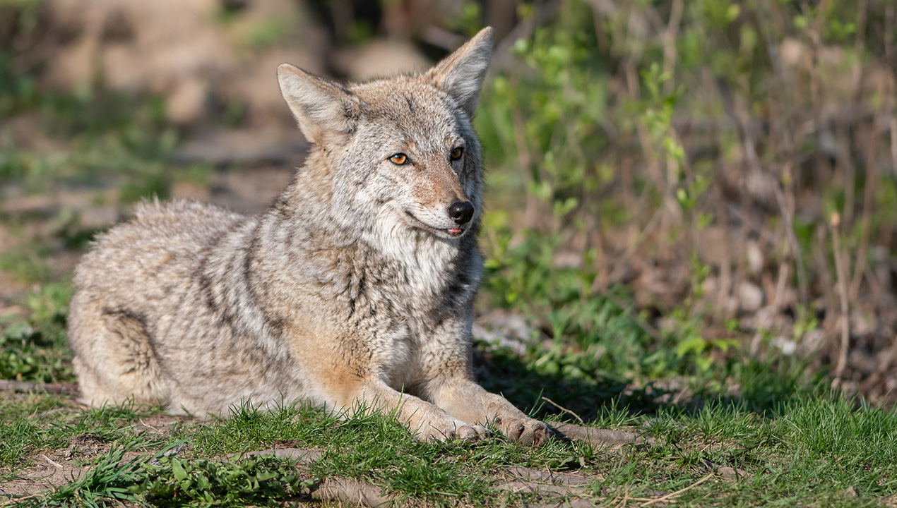 Visitez le Zoo Ecomuseum : une activité naturellement responsable ...