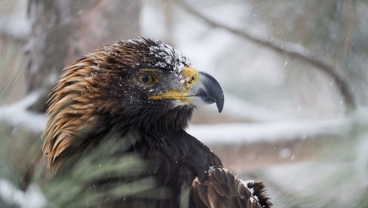 Visitez le Zoo Ecomuseum: une activité naturellement responsable — Quoi ...