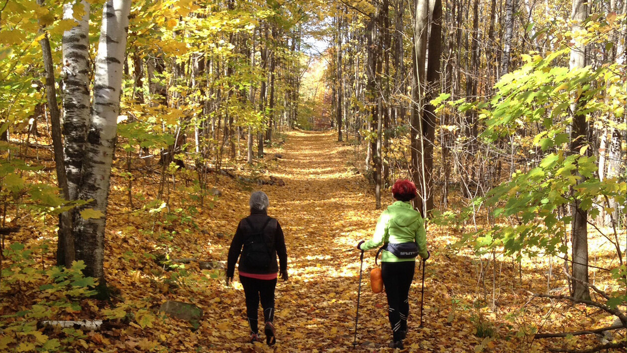 Nature et Plein air — Quoi faire au Québec